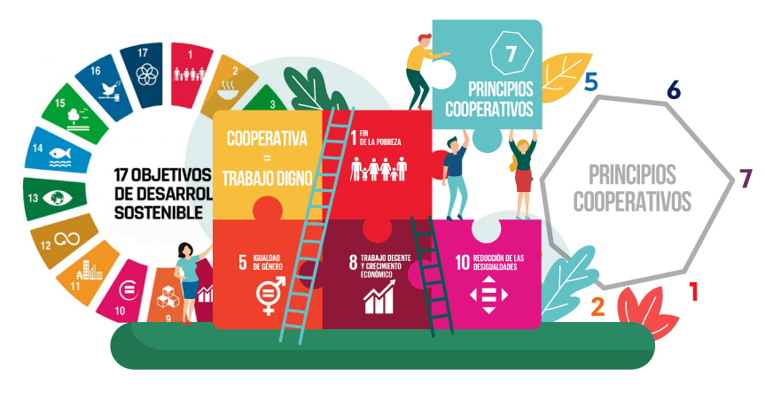 Blog FEVECTA | Cooperativas, empresas protagonistas en la creación de ...